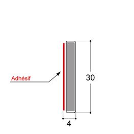 BANDE "PALUSOL EN 30MM X 4 MM" - PAL 30X4-21 – JOINT DUAL